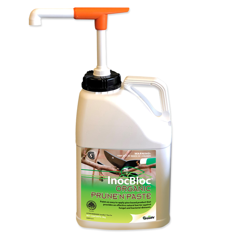 Organic Prune 'n' Paste 5Kg + 2 free applicator brush top bottles ...